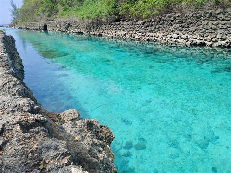 괌 놀거리 돌핀 크루즈 남부 투어
