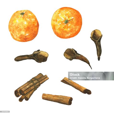 계피 정향 향신료 오렌지 과일 컬렉션은 흰색 배경에 고립되어 있습니다 건강한 식품 디자인 유기농 향신료 멀드 와인을 위한 수채화 손 그리기 일러스트레이션 클립 아트 가지