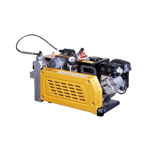 Scuba Compressor Bauer Poseidon Electric 1 Phase Pe100 Bali Dive Shop