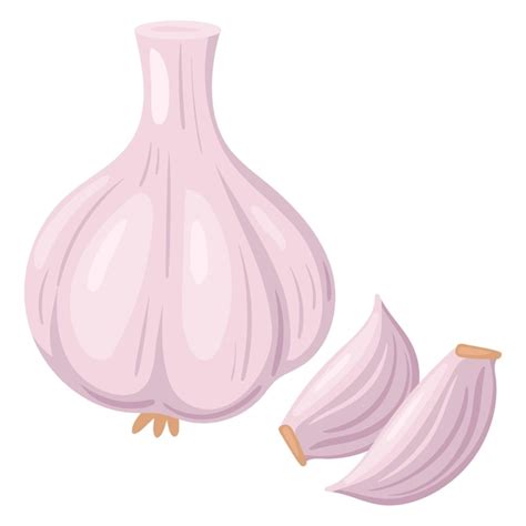 만화 마늘 전체 마늘 전구 및 정 향 맛 있는 향기로운 요리 조미료 야채 평면 벡터 일러스트 레이 션 흰색 배경에 고립 프리미엄 벡터