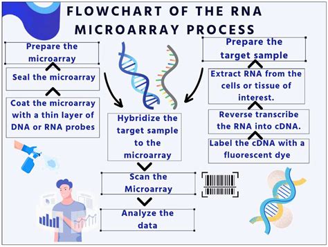 Gene Expression Network Analysis Gena A Biostatistical Method To