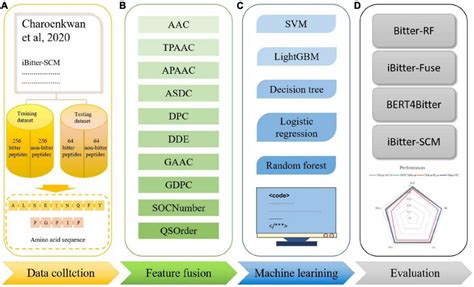Schematic Framework Of The Bitter Peptide Prediction Model Bitterrf