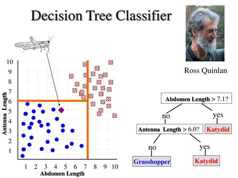 Ppt Decision Tree Classifier Powerpoint Presentation Free Download