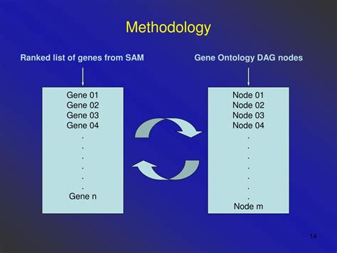 Ppt Gene Expression Meets Gene Ontology A Novel Statistical Method