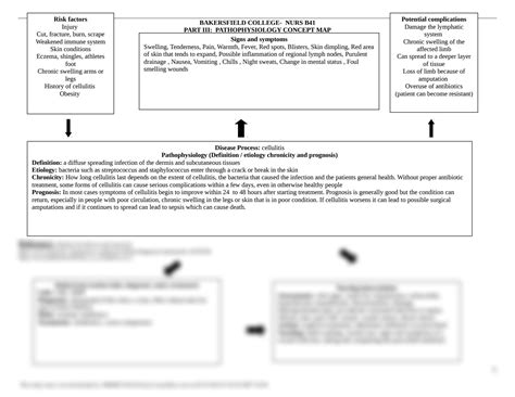 Solution Cellulitis Concept Map Docx Studypool