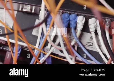 Close Up For White And Blue Network Cables Connected To Switch In The Server Room Action Rack