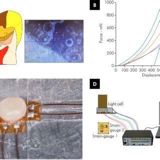 Calculation Of Mechanical Properties A Elastic Modulus Determination Download Scientific