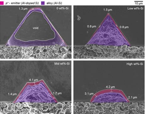 The Cross Sectional Microstructure Images Taken By Scanning Electron Download Scientific