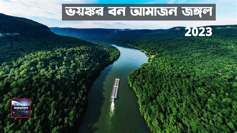 ভয়ঙ্কর বন আমাজন জঙ্গল । নারহোয়েল Amazon Forest Narwhal Bangla Youtube