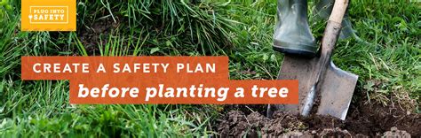 Create A Safety Plan Before Planting A Tree Indiana Electric Cooperatives