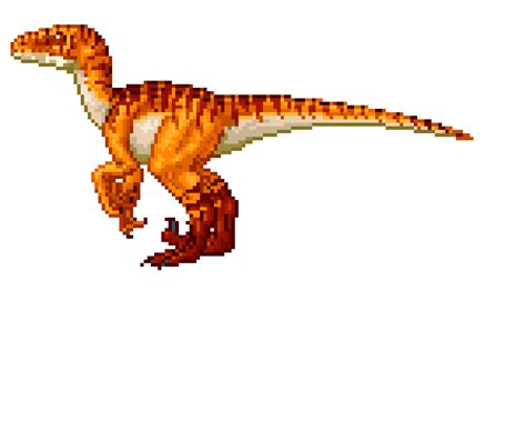 Velociraptor  The Reason Why The Velociraptors Look Different
