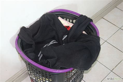 Ноосон цамцыг хэрхэн угаах вэ