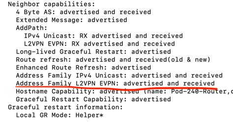 Bgp Evpn Between Nsx And Vyos Part 1