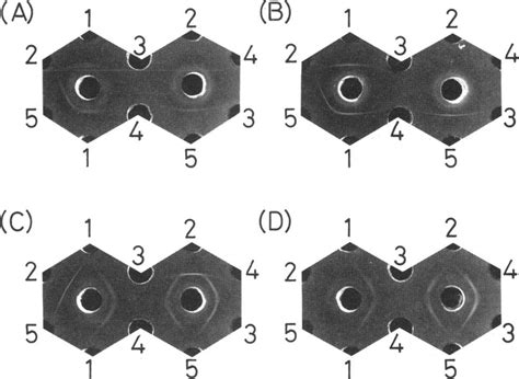 Double Immunodiffusion Test The Following Purified Enzymes 16 Pg