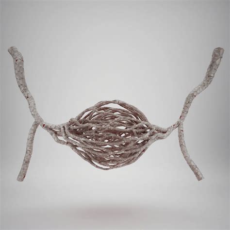 Blood Vessel Anatomy Capillary Flippednormals