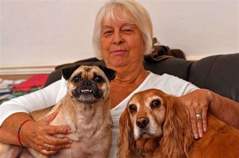 Walker Shaken As Pug And Cocker Spaniel Grabbed In Attempted Dog Theft