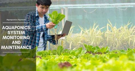 Aquaponics Monitoring System Test Kit And Ph