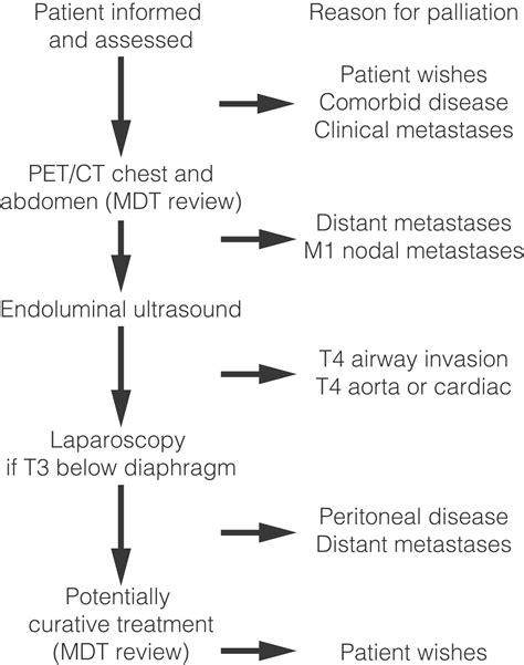 Palliative Treatments Of Carcinoma Of The Oesophagus And Stomach Clinical Tree