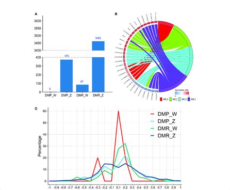 distribution of dmrs dmps on sex chromosomes of zw and zz groups a