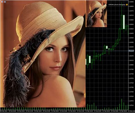 Working With Onnx Models In Float16 And Float8 Formats Mql5 Articles