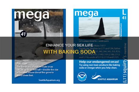 Enhance Your Sex Life With Baking Soda Cysoda