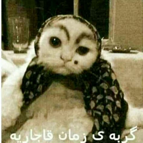 قسمت ۳ عکس های سم