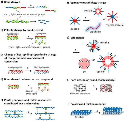 Behaviour Of Redox Enzyme And Light Responsive Polymers Download Scientific Diagram Behaviour Of Redox Enzyme And Light Responsive Polymers Download Scientific Diagram