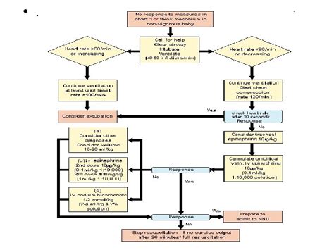 Resuscitation By Dr Sanjeev Resuscitation Algorithm Resuscitation Chart