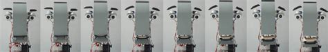 Robotics Facial Expression Of Anger In Collaborative Human Robot Interaction Mauricio E Reyes