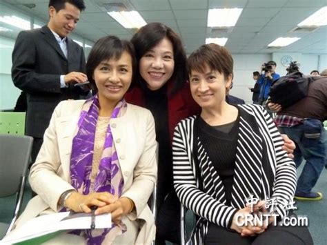 民進黨公布外交戰略新作為手冊 蕭美琴讚許