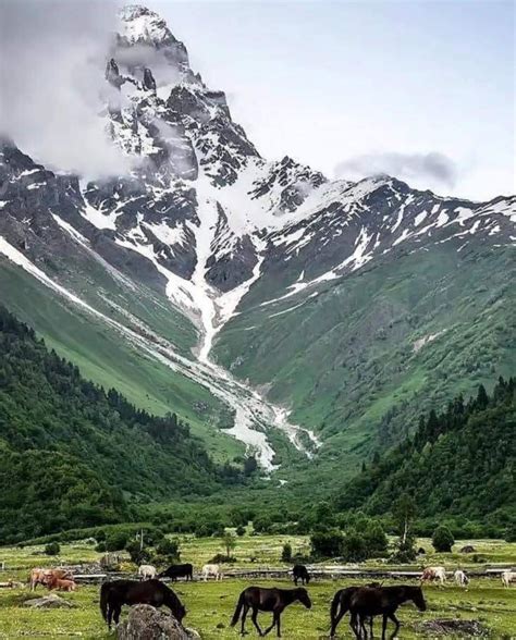 დღიანი ტური სვანეთში სვანეთი 0 Gel ქართული ტრადიციული ტურები