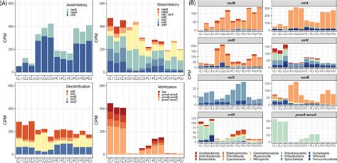 Genome‐resolved Metagenomics Reveals Diverse Taxa And Metabolic Complexity In Antarctic Lake
