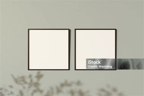 두 개의 정사각형 검은색 프레임이 식물 그림자 오버레이가 있는 녹색 벽에 모형을 만듭니다 3d 그림 0명에 대한 스톡 사진 및 기타 이미지 Istock