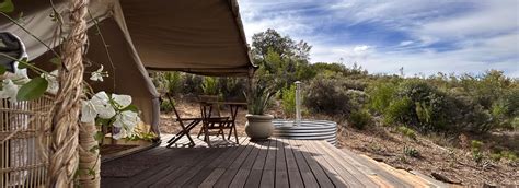 Waboom Protea Leopard Valley Eco Retreat Relax Reconnect Recharge