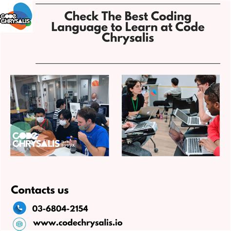 Check The Best Coding Language To Learn At Code Chrysalis Learning Languages Coding Bootcamp