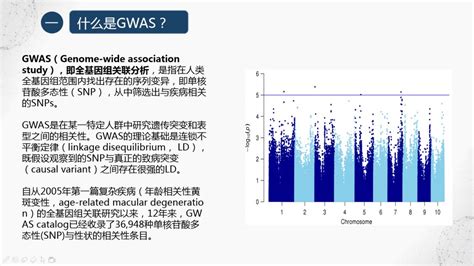 全新课程“全基因组关联分析（gwas）”上线啦！ 搜狐汽车 搜狐网