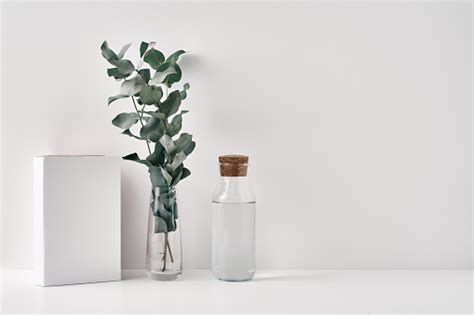 유칼립투스가 있는 투명한 화병 코르크 스토퍼가 있는 물 한 병 흰색 배경에 책이 있습니다 미니멀리즘 내부 장식의 에코 소재 공간을 복사하고 모의합니다 0명에 대한 스톡 사진