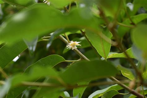 အ ထ က စဥ့္ကူး အ ထ က စဥ့္ကူး Added A New Photo