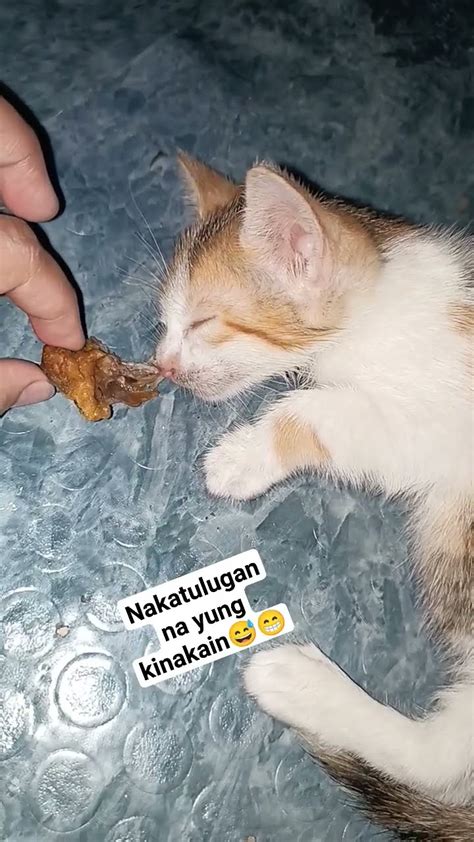 Nakatulugan Na Yung Kinakain😅😆 Youtube