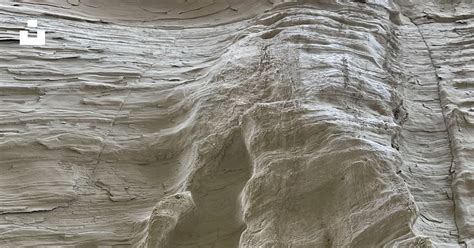 그 위에 새가 앉아있는 암석의 클로즈업 사진 Unsplash의 무료 여자 이미지