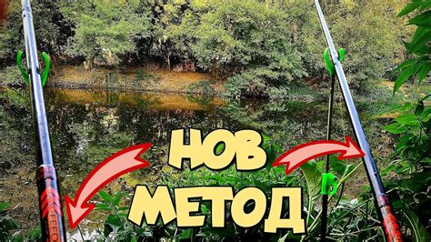 ПРОБВАХ НОВ МЕТОД за РИБОЛОВ на РЕКАТА УСПЯХ ли да ХВАНА НЕЩО Youtube