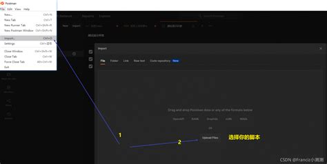 Postman快速入门 接口测试教程 取和引用响应值 断言 json路径写法 导出和导入脚本 csv参数化 离线安装包 源码巴士