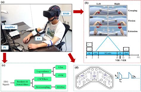 Figure 3 From Decoding Hand Motor Imagery Tasks Within The Same Limb
