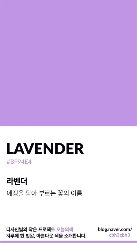 디자인빛 오늘의 색 라벤더lavender カラーパレット 色 パレット