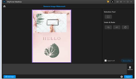 How To Remove Watermark From Imagevideo Without Blur