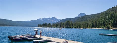 Tensorflow Serving Requested Prediction By Vann Ponlork Lastmile Works Dynamo Tech Randd