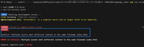 Conflict Multiple Assets Emit Different Content To The Same Filename Indexhtml 海神与明月