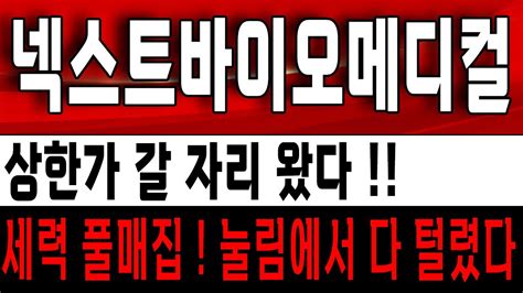 넥스트바이오메디컬 상한가 자리 왔습니다 세력 풀매집 확인 Youtube