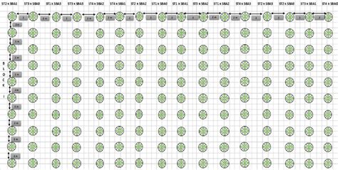 Layout Of The Experimental Design Of Direct Seeding Based On The Sowing Download Scientific