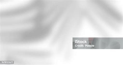 사실적인 흐릿한 자연광 나뭇잎 손바닥 및 창 그림자 오버레이가 벽 종이 또는 프레임 질감 추상 배경 여름 봄 가을에 제품 프레젠테이션 연단 및 모형 계절에 적용됩니다 0명에